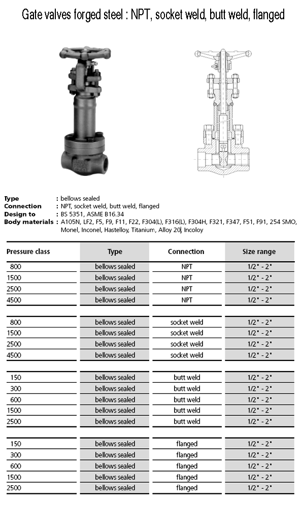 PRODUCT Gate valves forged steel: NPT, socket weld, butt weld, flanged ...