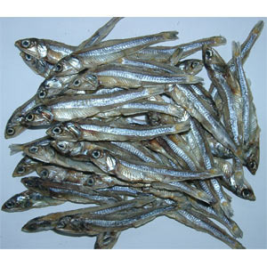 PRODUCT Dried Fish Sprat (Anchovy) : บริษัท เอช เค เอส (1989) จำกัด | H ...