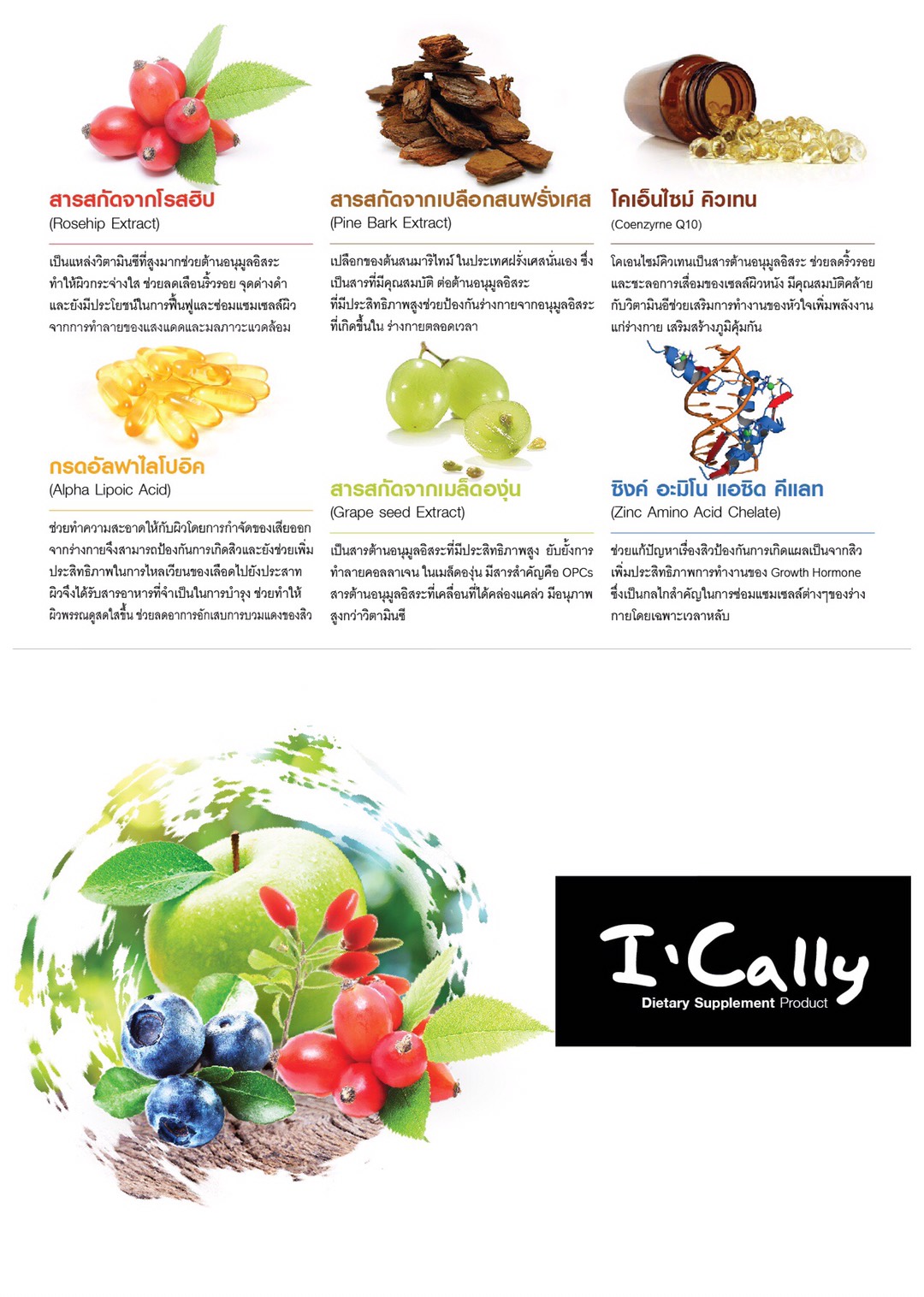 PRODUCT I'Cally (ไอ คอลลี่) สเต็มเซลล์แบบผง : ณัฐวรรณ เทคแคร์ ...